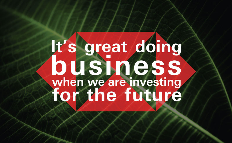 Wholesale | HSBC Turkey